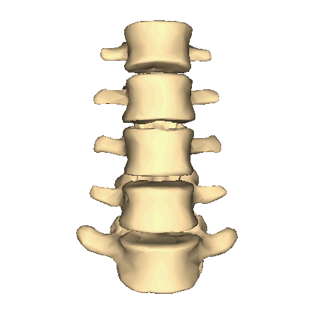 animacion-vertebras-lumbares - Blog Dr Lizon